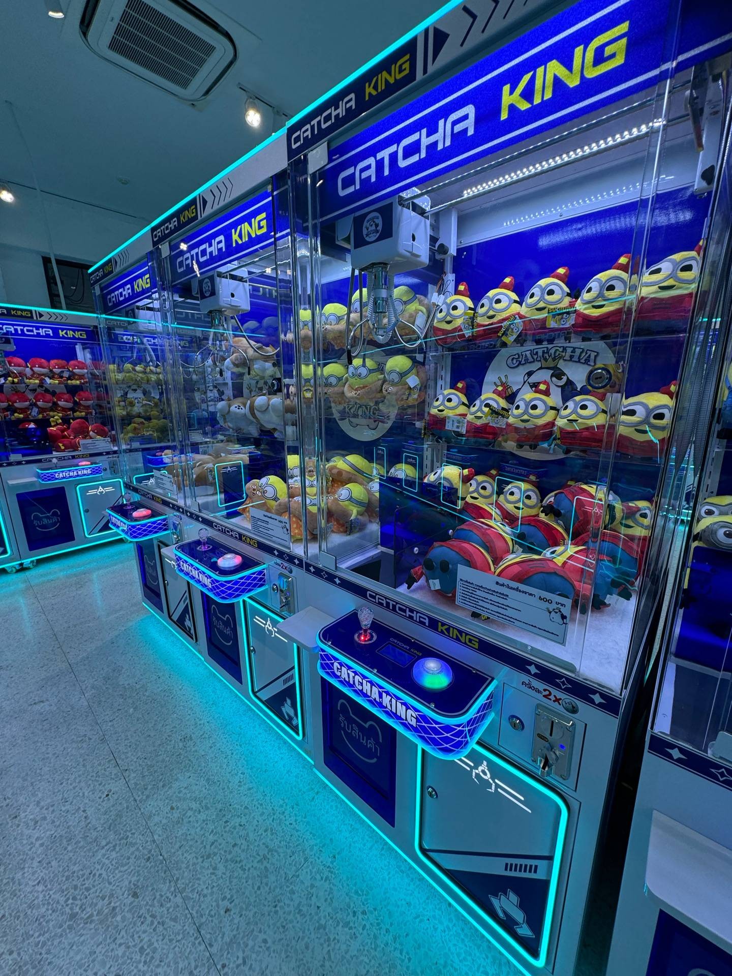 รูป Catcha King