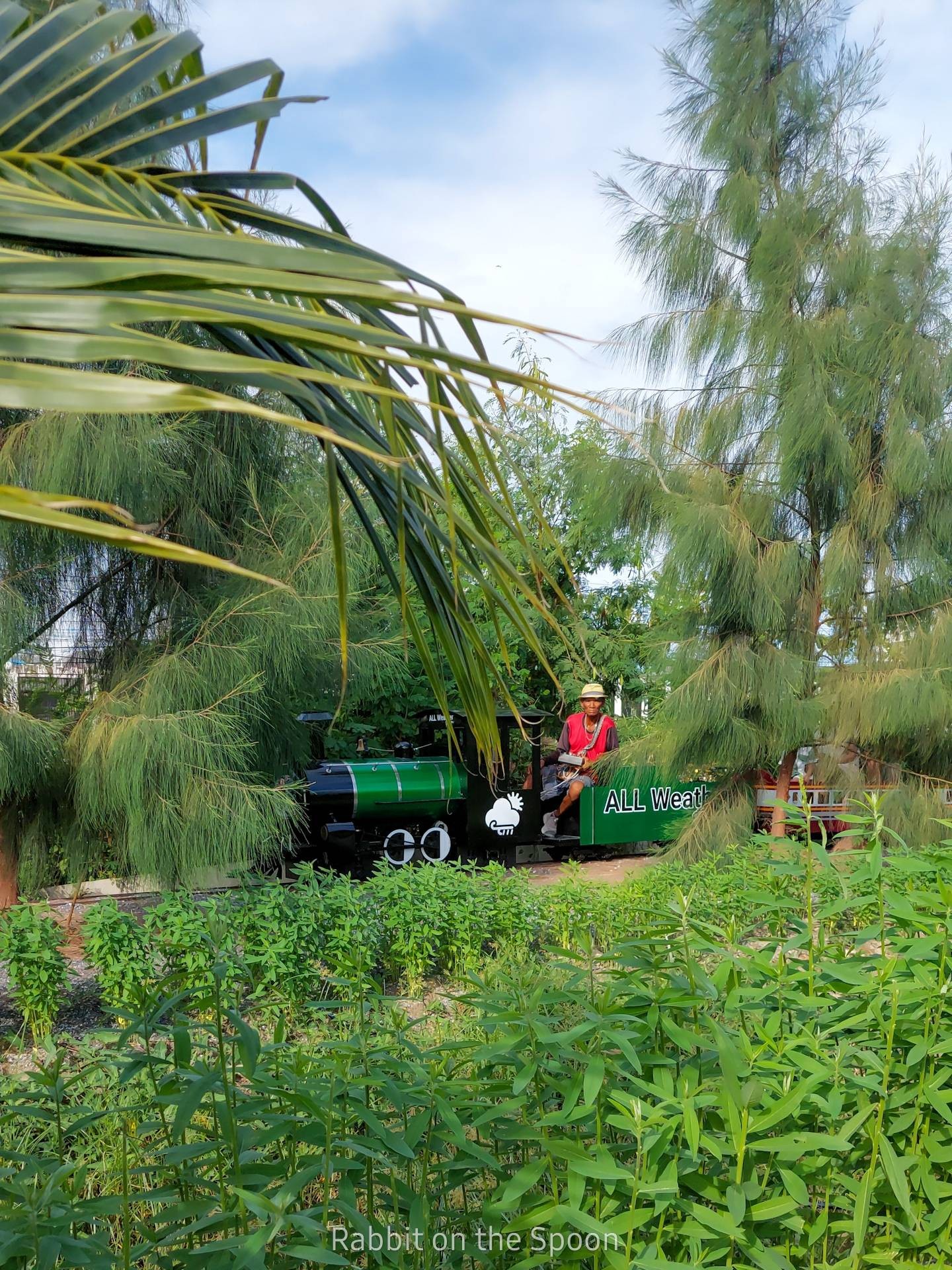 รูป All Weather Farm บางขุนเทียน-ชายทะเล ซอย20/1