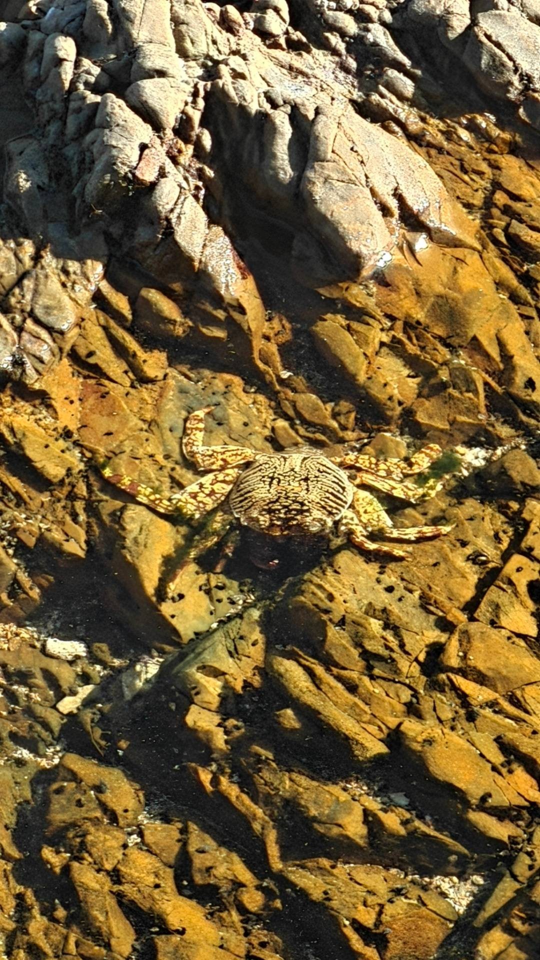 รูป Palyn Cafe & Eatrey ปาลินคาเฟ่แอนด์อิทเทอรี่