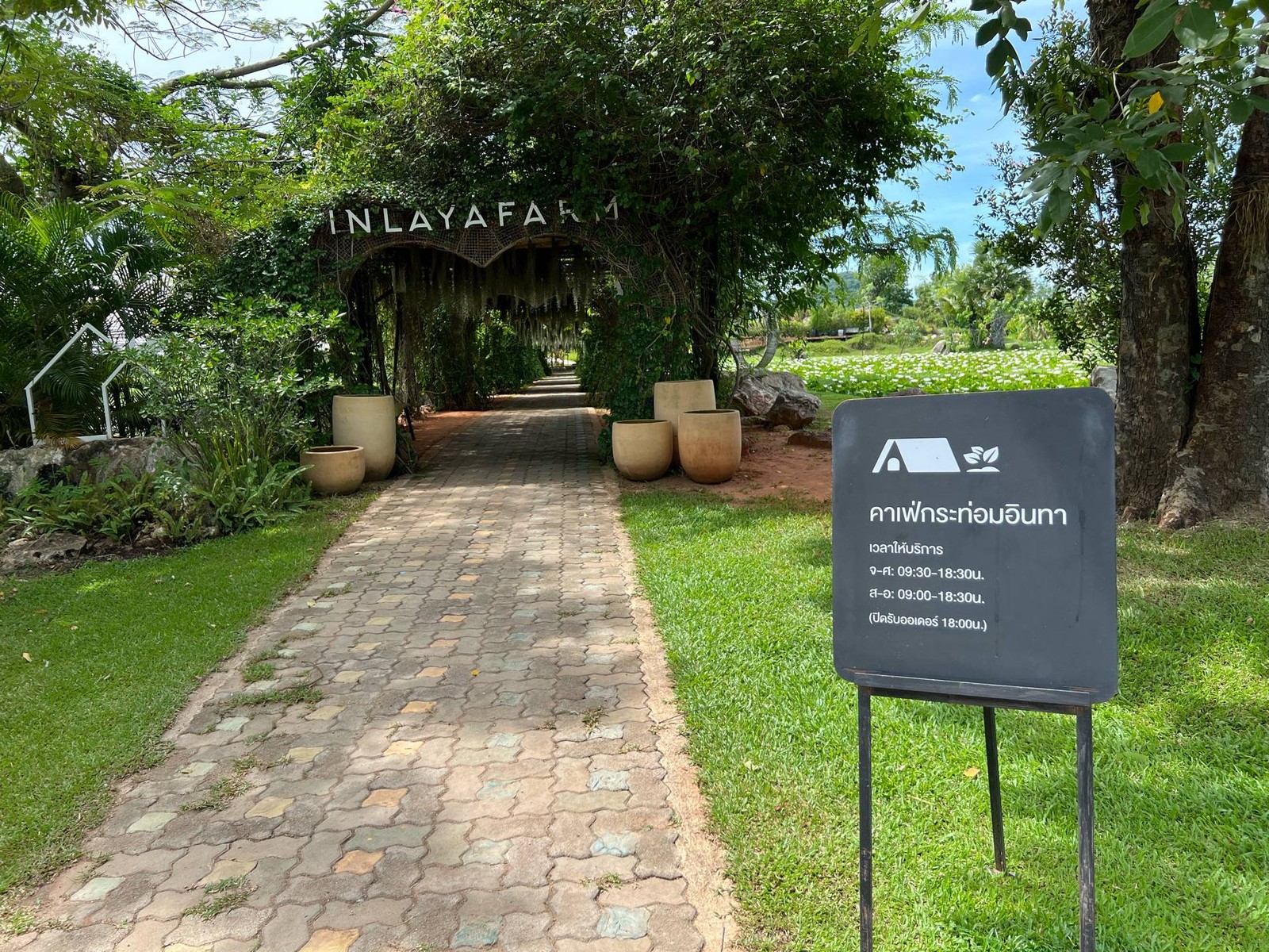 รูป Kratom Intha By Inlaya