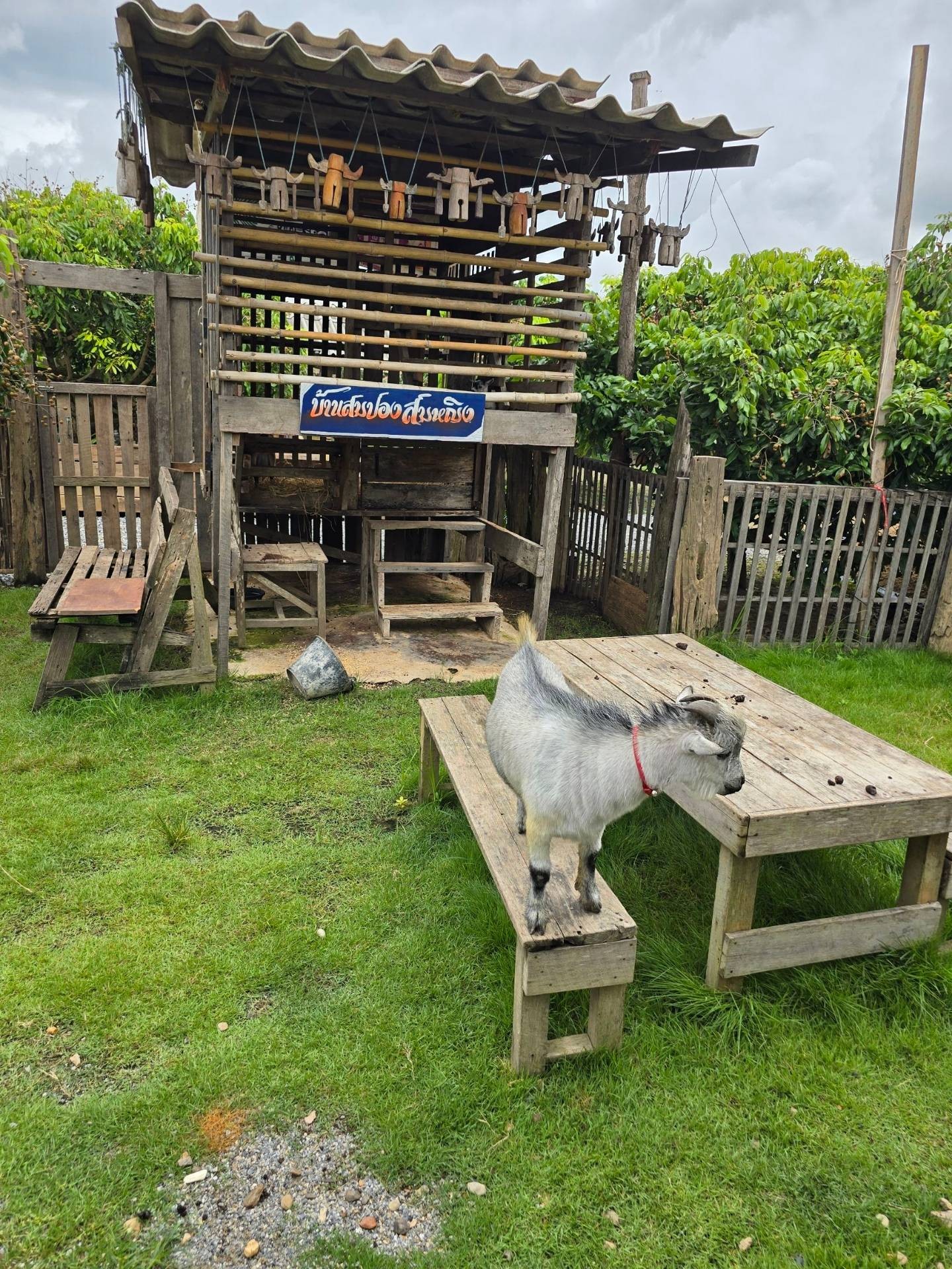 รูป 419.homecafe