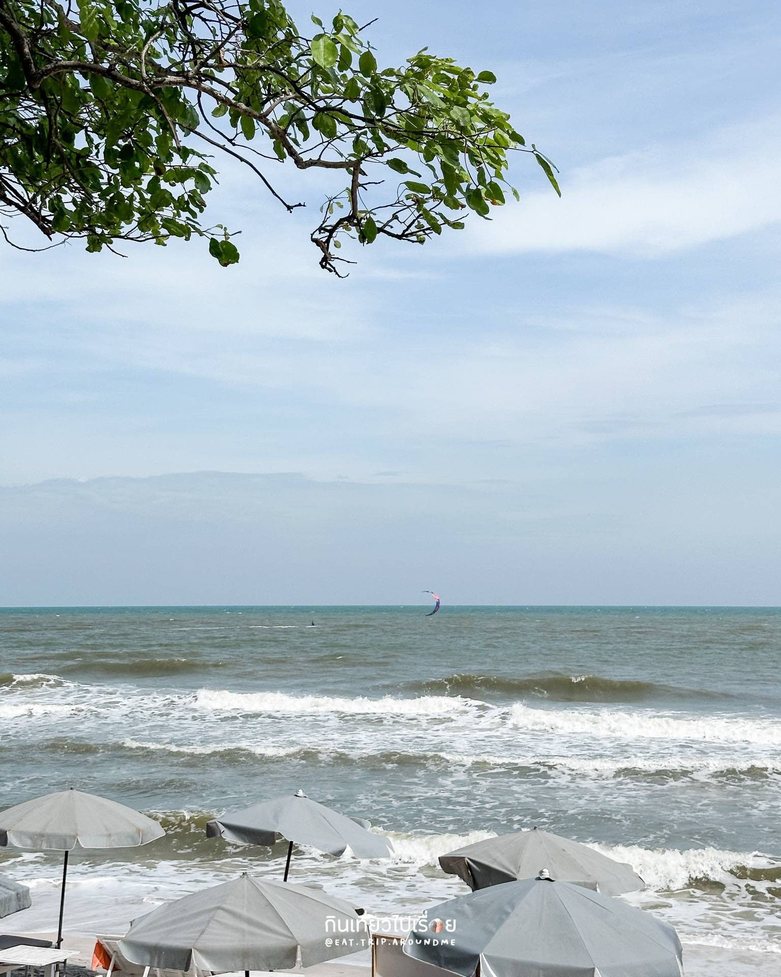 รูป DRIP RIM LAY