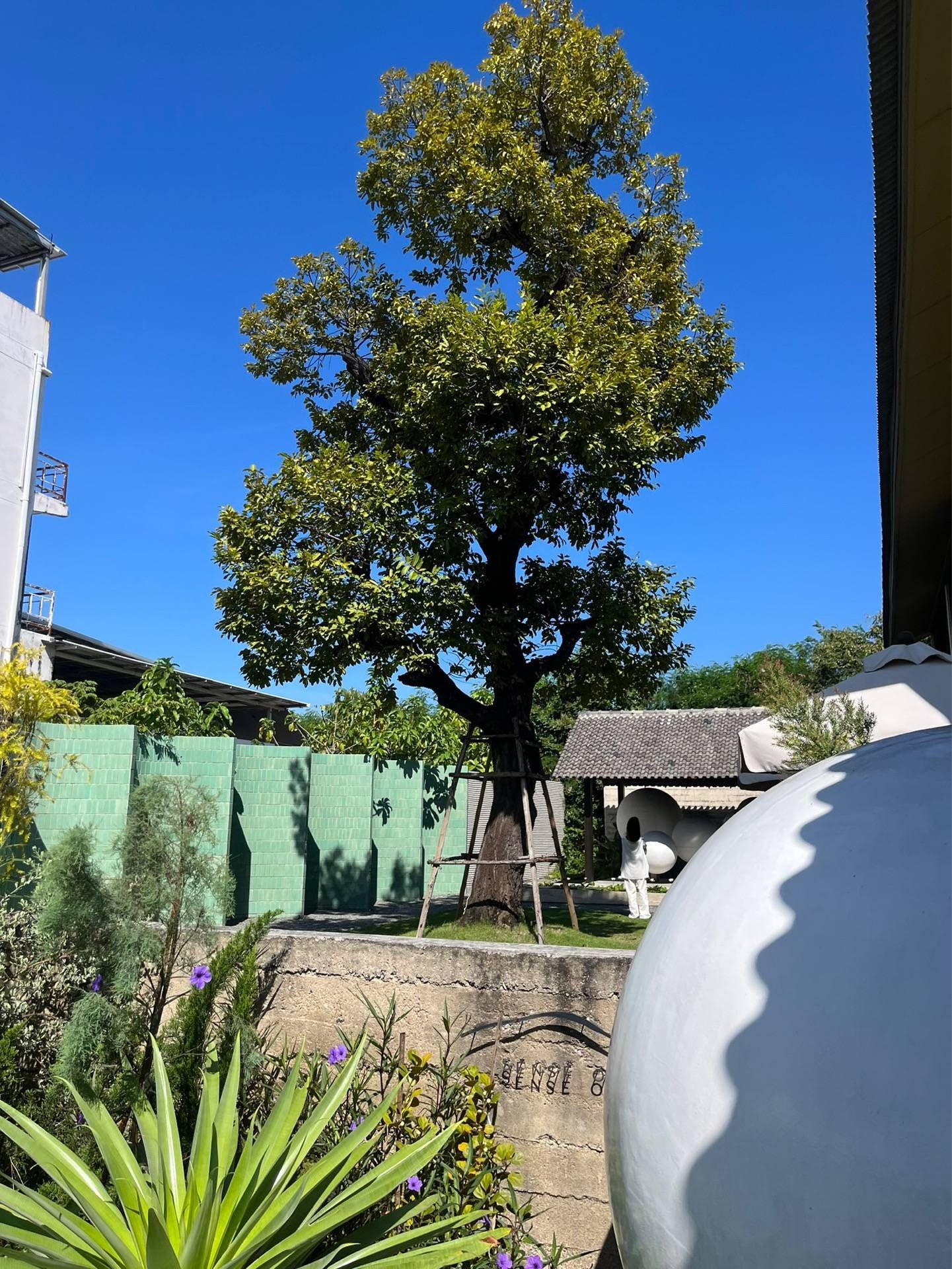 รูป AYATANA.cafe บางแสน