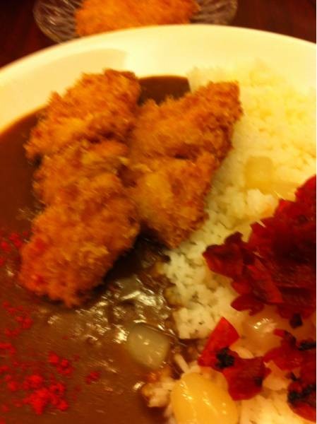 รีวิว Aoringo Japanese Curry Place ตึกธนิยะ พลาซา ชั้น 4 - ข้าวแกงกะหรี่