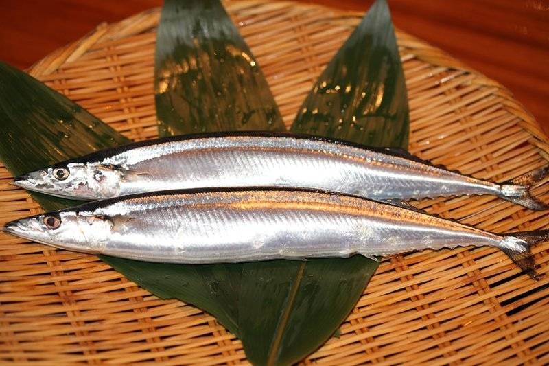 รีวิว MIYABI KAPPO ทองหล่อ 25 - อาหารแนะนำเดือน พย.55