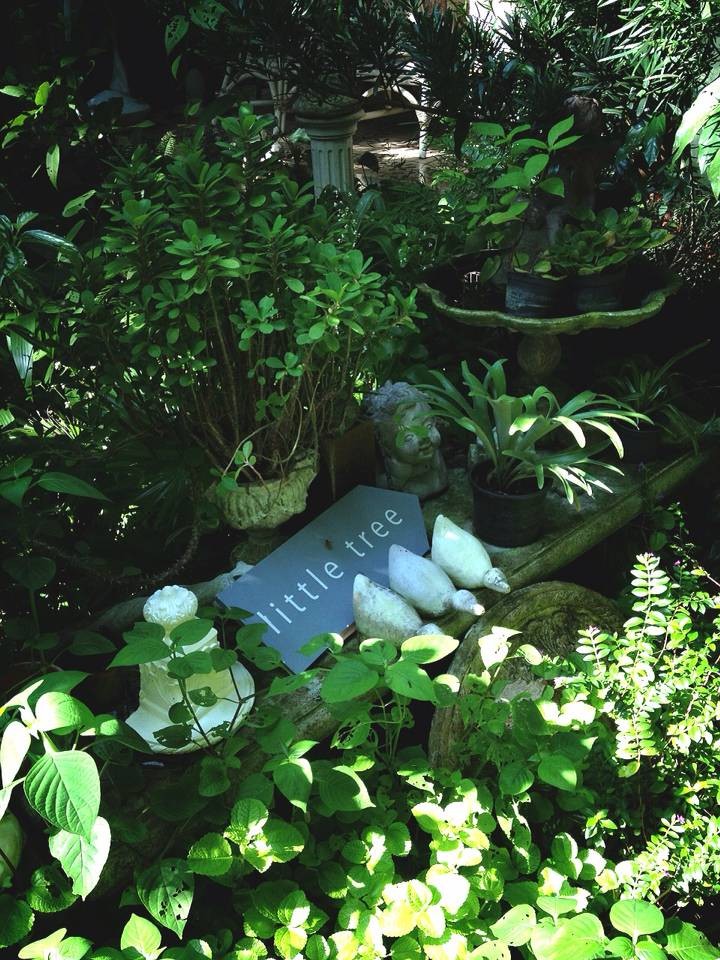 รูป Little Tree Garden บ้านใหม่