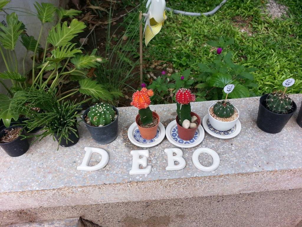 รูป Debo Café