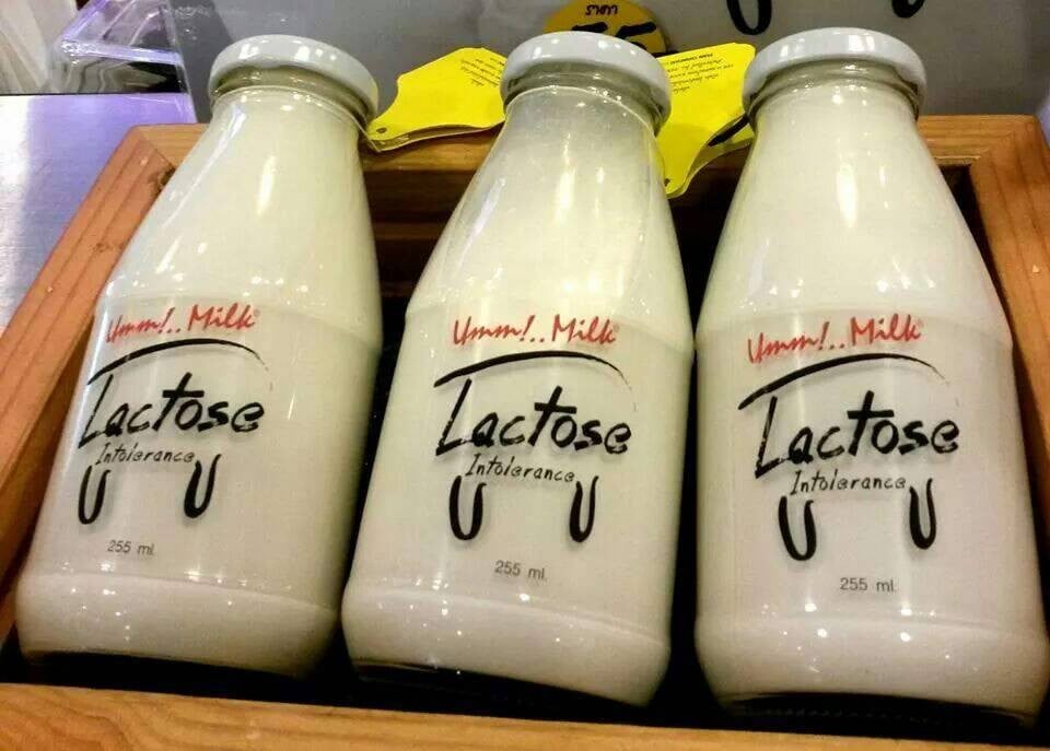 ร้าน Umm!.. Milk (อืมม มิลค์) เซนทรัลพลาซา ขอนแก่น - รีวิวร้านอาหาร ...