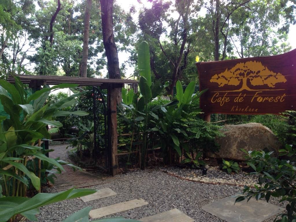 รีวิว Cafe de' Forest สำนักงานป่าไม้ - ชิลท่ามกลางต้นไม้ใหญ่ในเมือง ...