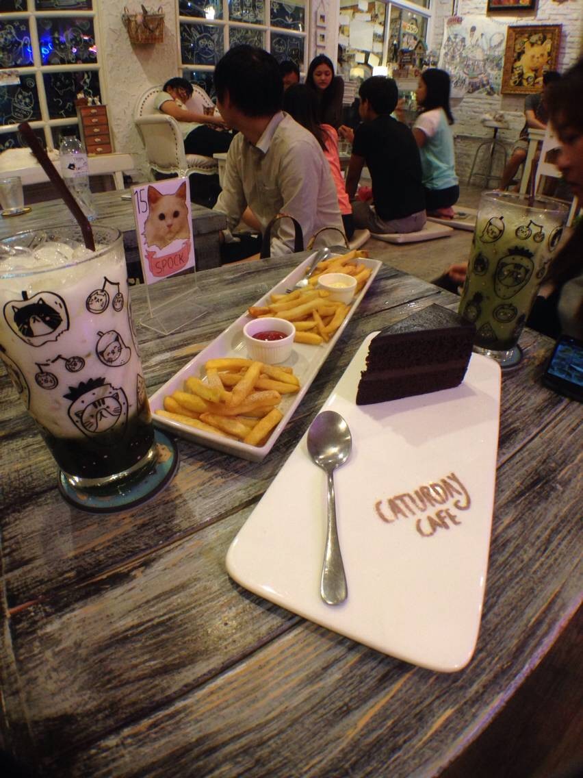 รีวิว Caturday cat cafe - คาเฟ่สำหรับคนรักแมว