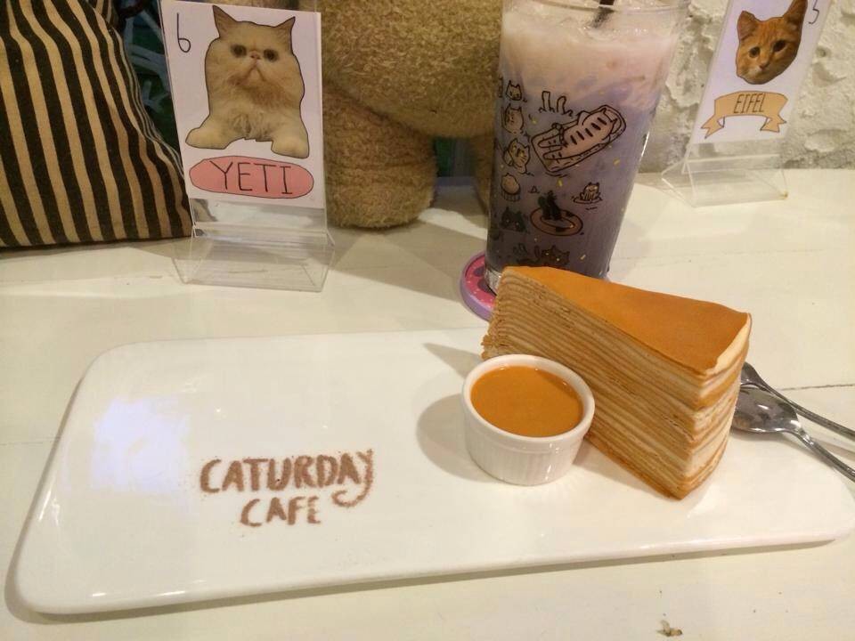 รีวิว Caturday cat cafe - ทาสแมวห้ามพลาดดดดดดด - Wongnai