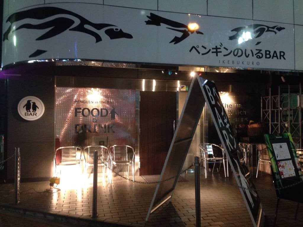 รีวิว Penguin Bar - กินเหล้าเคล้าแพนกวิ้น