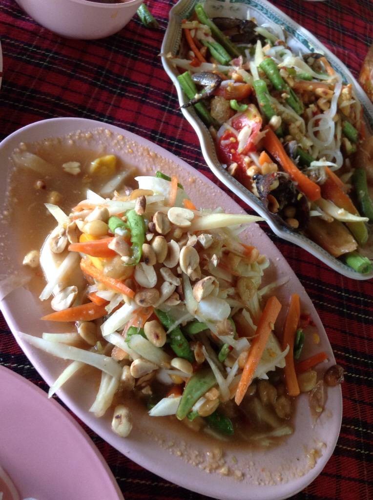 รีวิว ส้มตำปูเสื่อ - ร้านส้มตำริมสระน้ำบรรยากาศที่โอบล้อมด้วยท้องทุ่ง ...