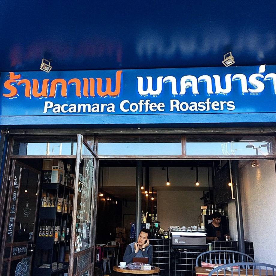 รีวิว PACAMARA Star Avenue 2 เชียงใหม่ - กาแฟเริศ บรรยากาศสบายๆ - Wongnai