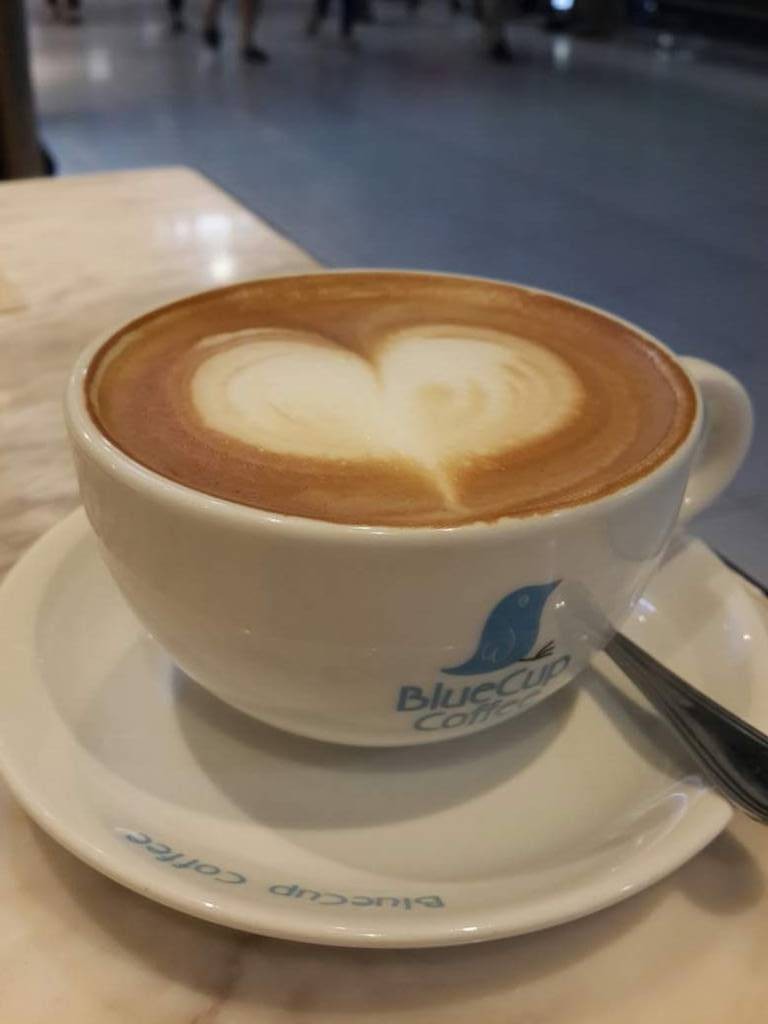 รวมร้านสาขาของ Bluecup Coffee (บลูคัพ) - ร้านกาแฟ/ชา - Wongnai