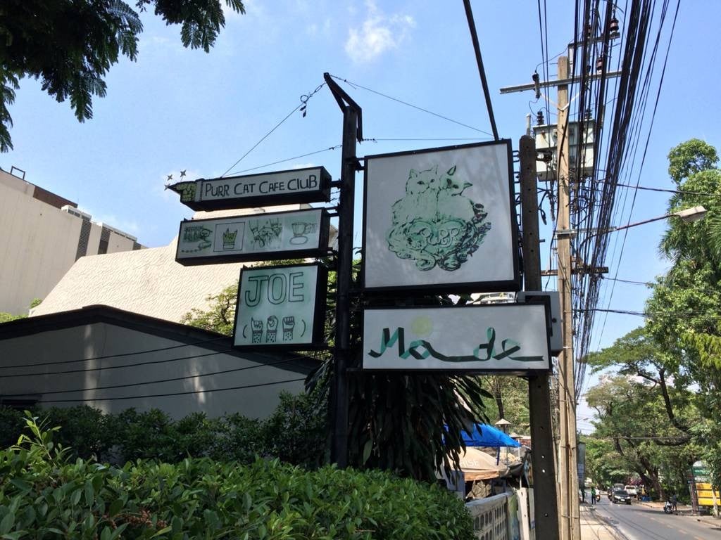 รีวิว Purr Cat Cafe Club - ทานของหวาน ในร้านแมว