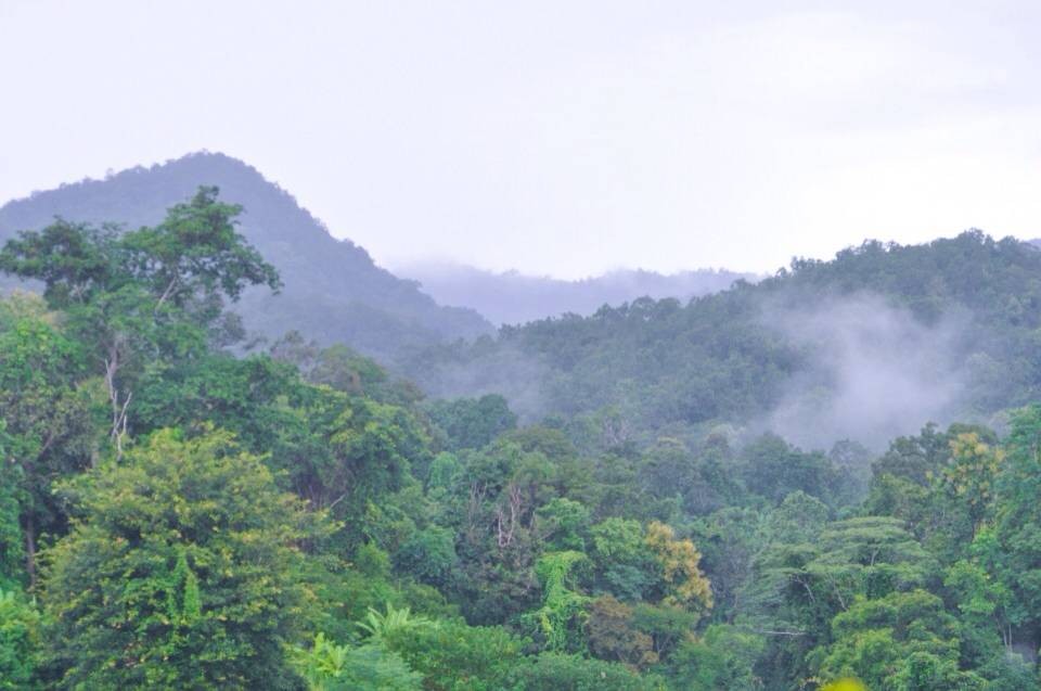 รีวิว Anna Farm & Eatery - บรรยากาศดีมาก