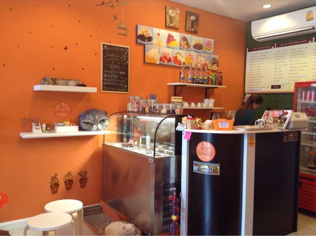 รีวิว Cats On Ice Café - ร้านน้ำแข็งใสเกร็ดหิมะน่ารักๆและน้องแมวเมี๊ยว ...