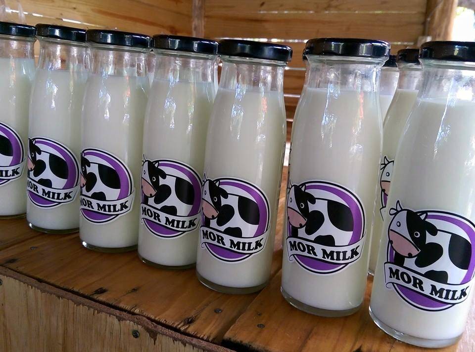 ร้าน Mor Milk | รีวิวร้านอาหาร