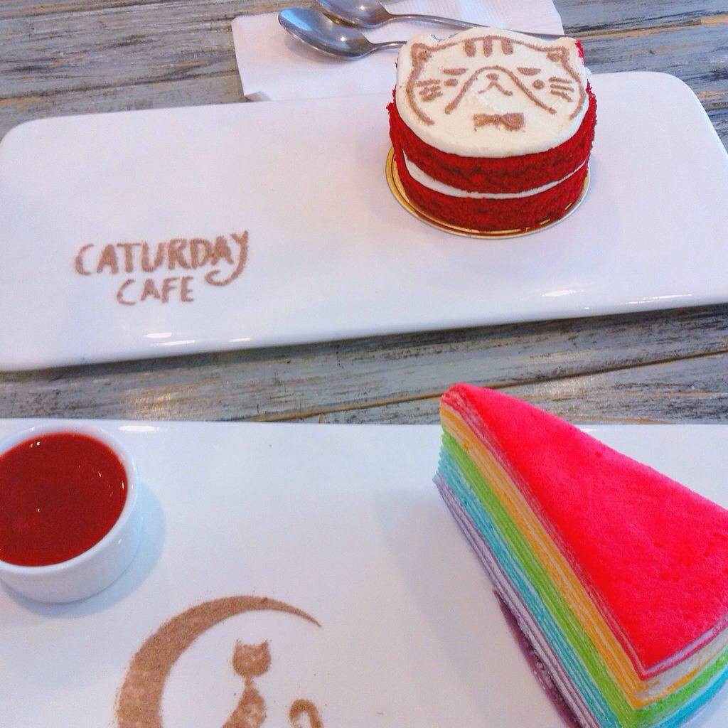 รีวิว Caturday cat cafe - ร้านน้องแมวน่ารักมุ้งมิ้ง🐱💕 - Wongnai