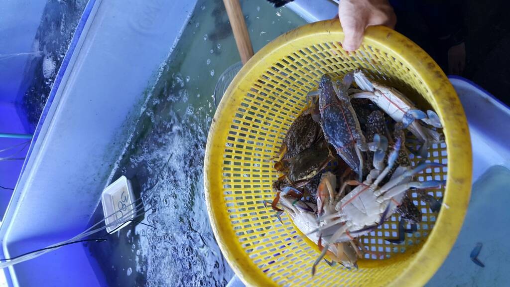 รูป เจ๊ช้อย