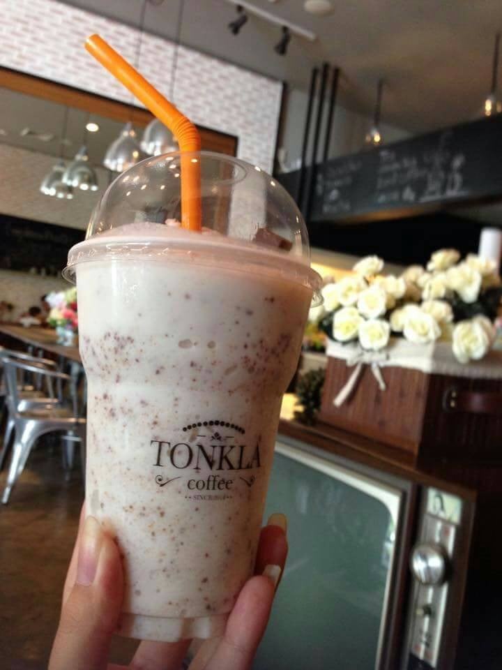 รีวิว กาแฟต้นกล้า Tonkla Coffee ตรัง - น่ารัก สงบ