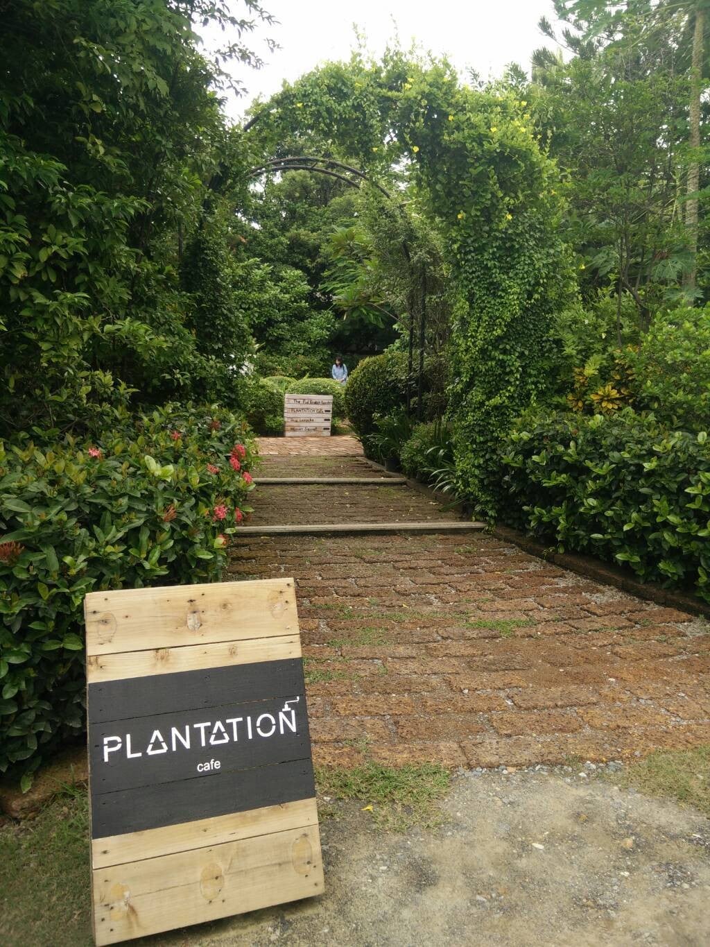 รีวิว Plantation Cafe - ร้านบรรยากาศดีมาก สวนสวย อาหารโอเค