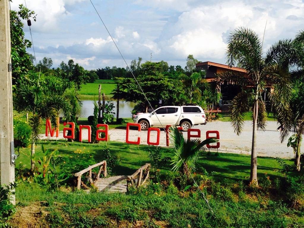 รีวิว Mana Coffee - บรรยากาศชายทุ่ง อาหารอร่อย