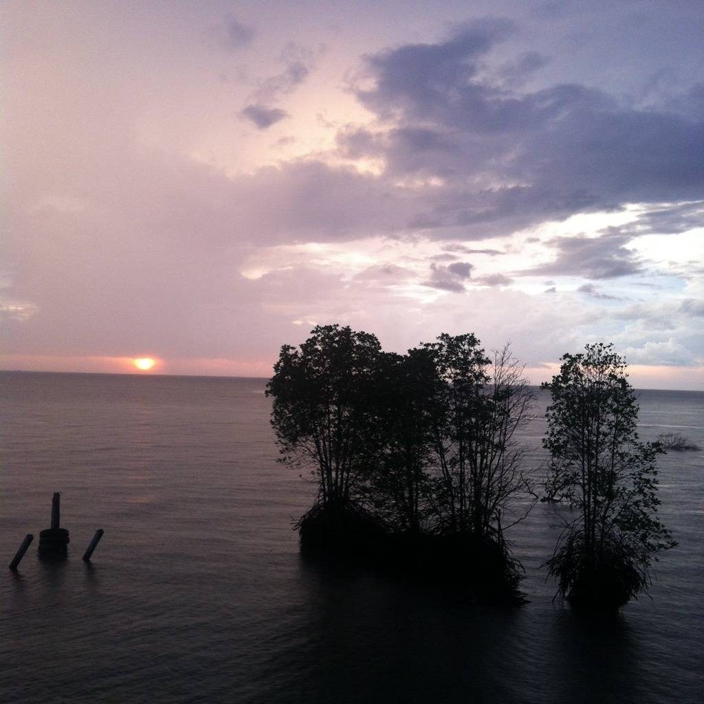 รีวิว Aloha Homestay - ย้ายที่ใหม่ บรรยากาศดี นอนสบาย อิ่มท้องเหมือนเดิม