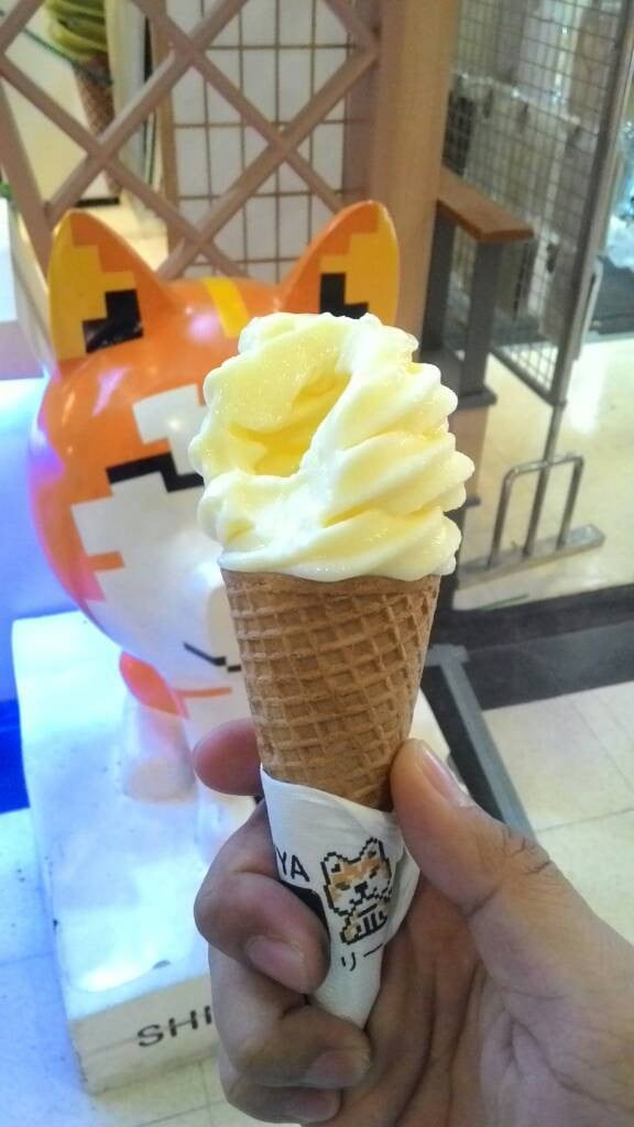 ร้าน Shibuya Soft แพชชั่น ชอปปิ้ง เดสติเนชั่น | รีวิวร้านอาหาร