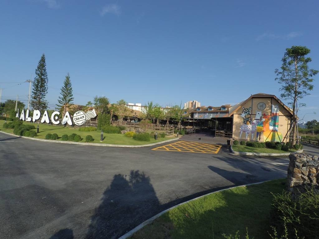 รีวิว Alpaca Restaurant Cha-Am - อาหาร อร่อยทุกอย่าง ราคาสบายกระเป๋า ...