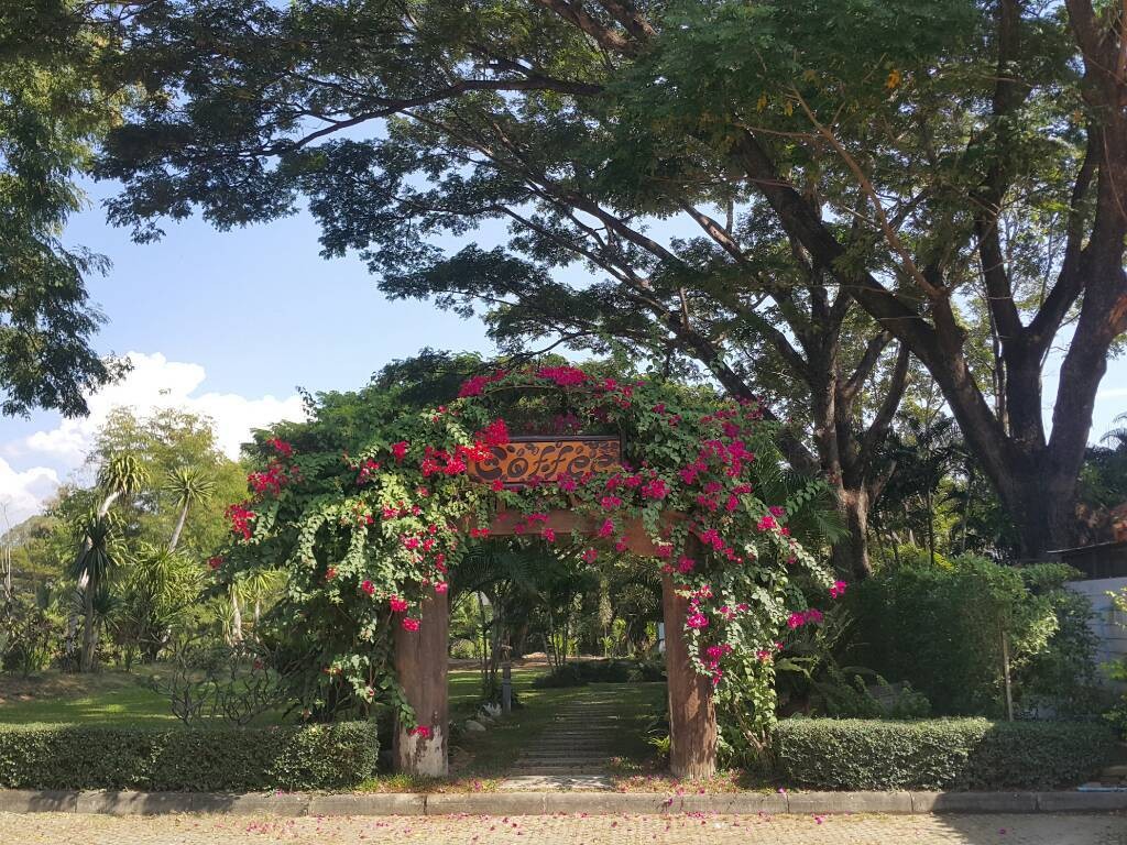 ร้าน Haya Cafe & Restaurant | รีวิวร้านอาหาร