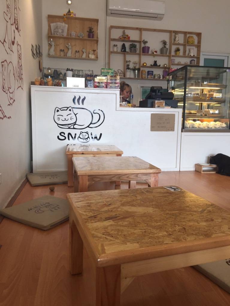 รีวิว Snow Cat Cafe - น้องเหมียวน่ารักกกกกกกก