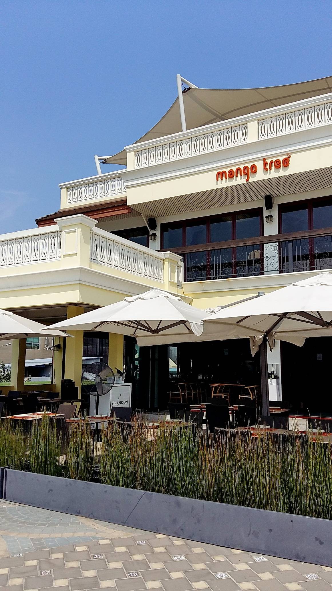 รวมร้านสาขาของ Mango Tree (แมงโก้ ทรี) - อาหารไทย - Wongnai