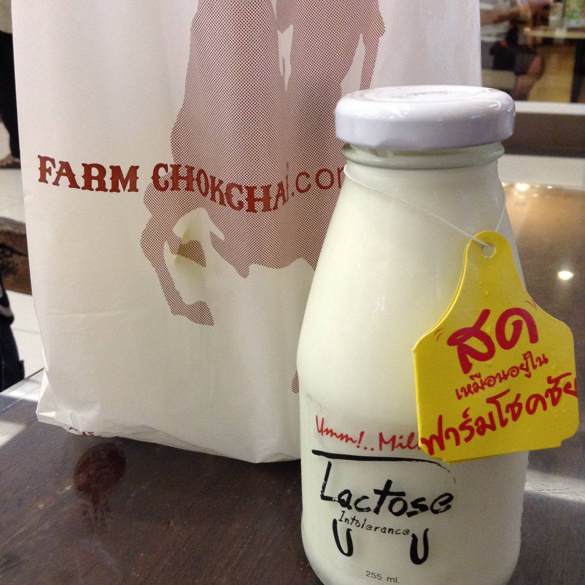 รีวิว Umm milk แฟชั่นไอส์แลนด์ - นม 0% Lactose เริศสุด