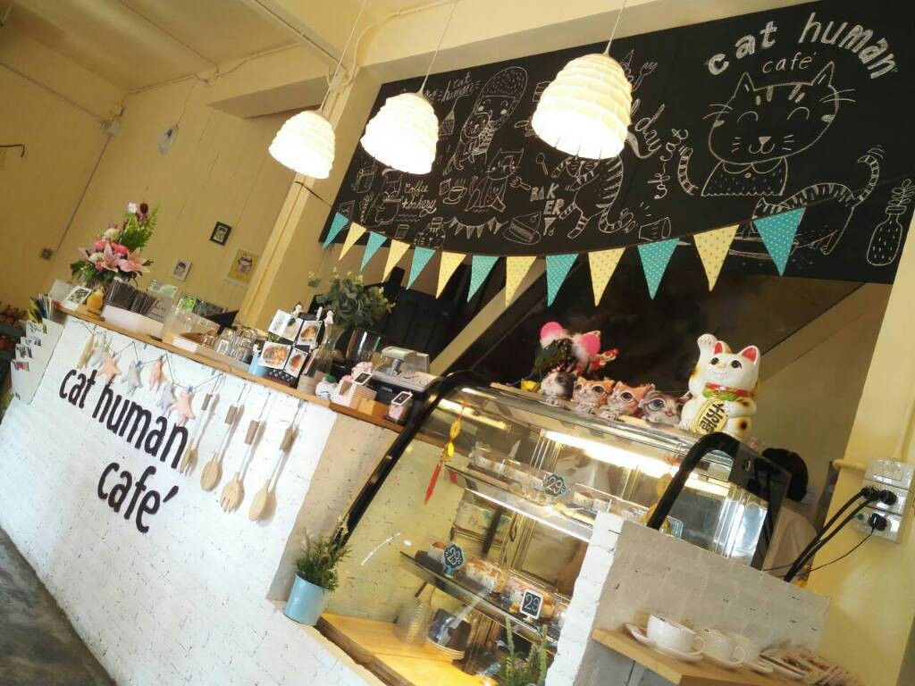 รีวิว Cat human cafe - เคยได้ยินแต่ หนูตกถังข้าวสาร วันนี้มาดูแมวใน ...