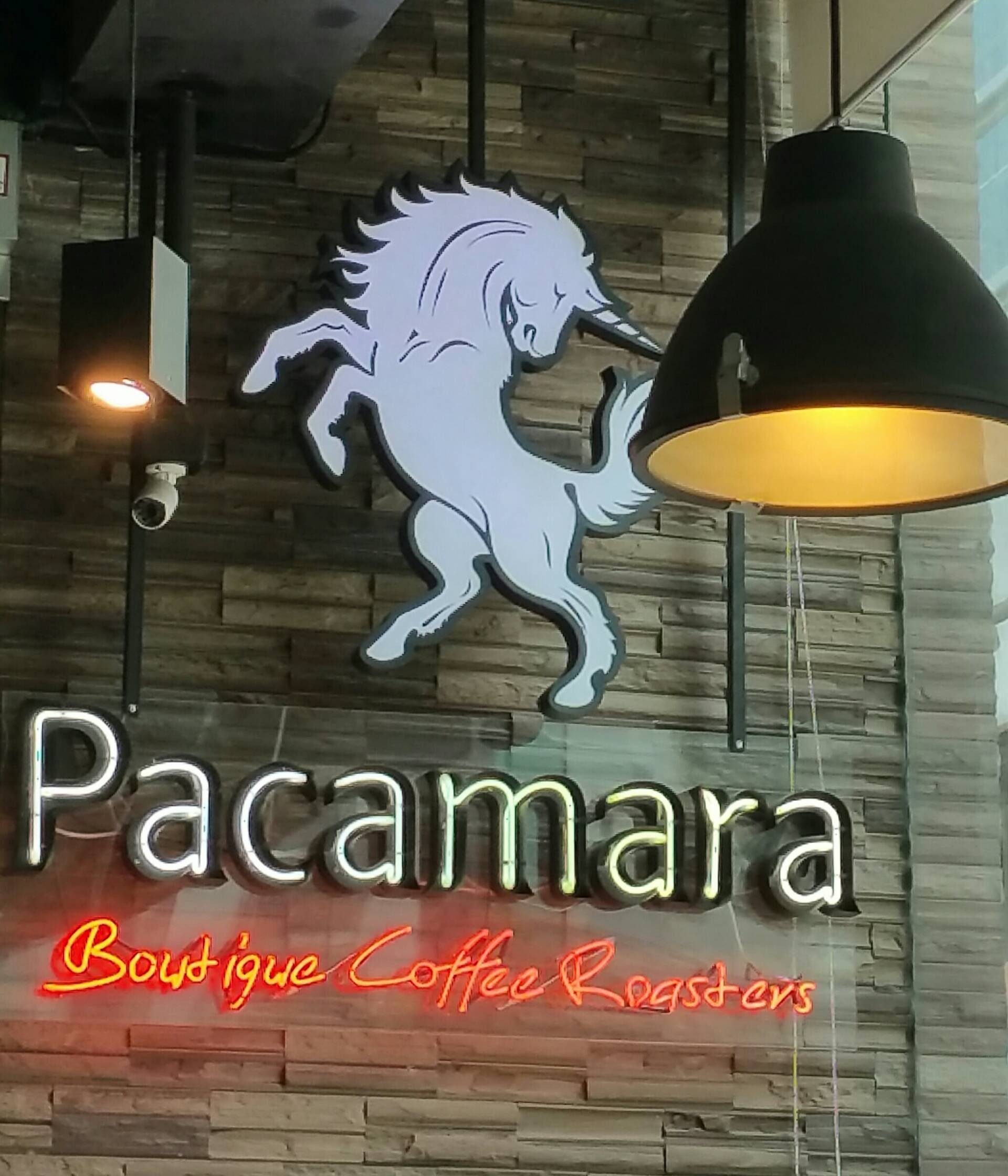 รีวิว PACAMARA โรงพยาบาลจุฬาฯ สภากาชาดไทย (KCMH) - กาแฟเย็นธรรมดา ราคา ...