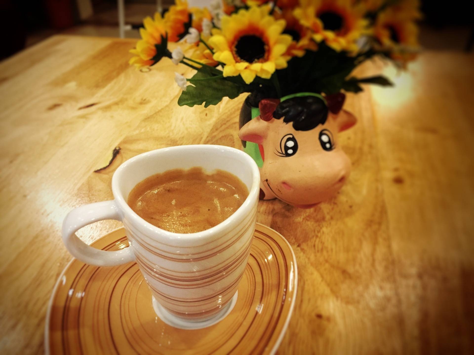 รีวิว Moo Moo Cafe - คิดจะพัก ก็คิดถึงที่นี่