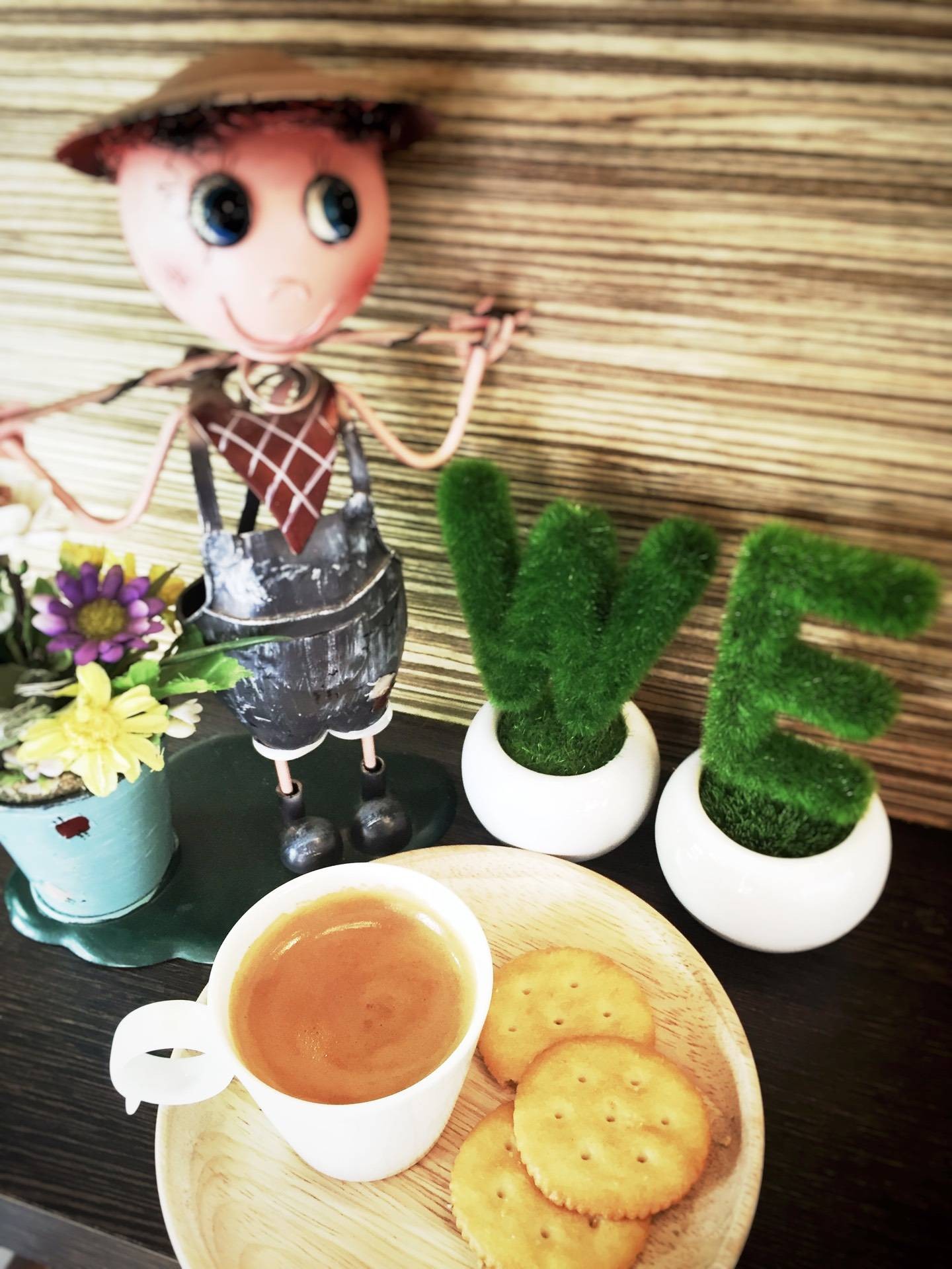 รีวิว Moo Moo Cafe - ใครกำลังมองหาสถานที่ทิ้งตัว