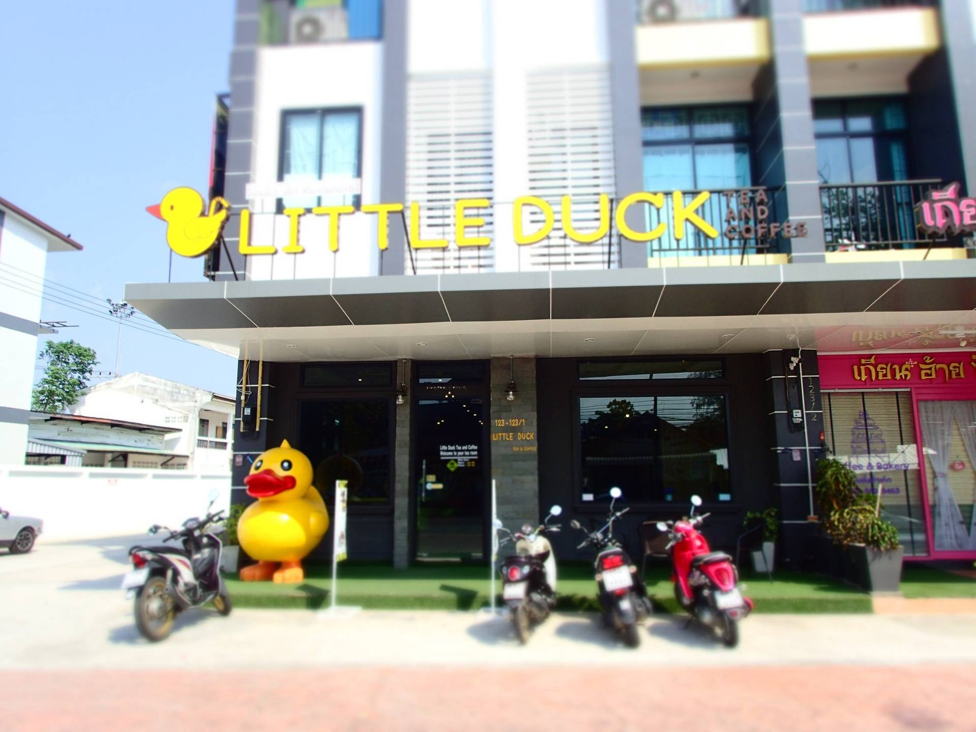 รีวิว Little Duck Tea And Coffee - เต็มไปด้วยลูกเป็ด ที่ไม่ขี้เหร่ ...