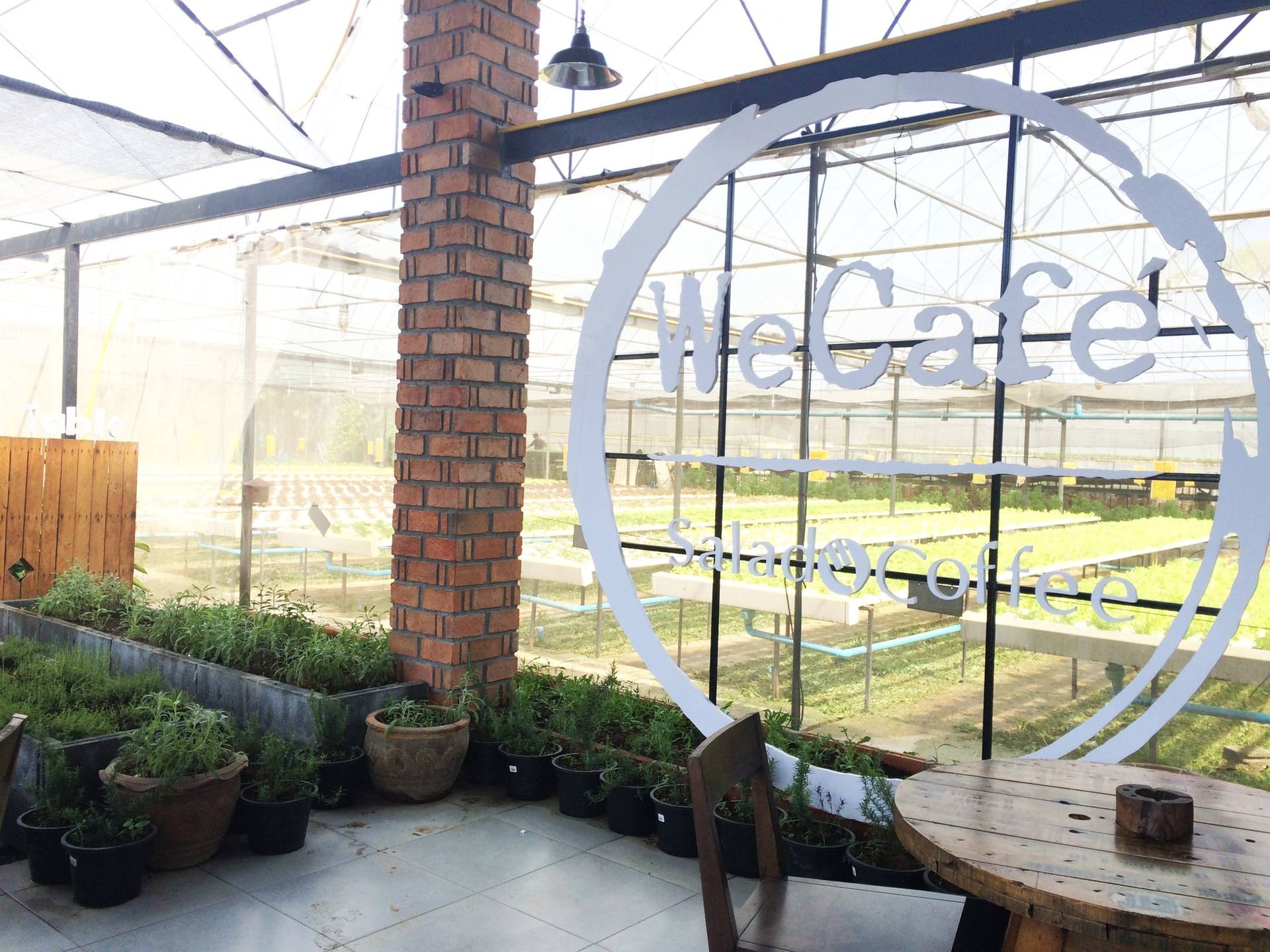 รีวิว We Cafe - มาทานผักสลัดสดๆ ส่งตรงจากฟาร์มผักไฮโดโปรนิกส์