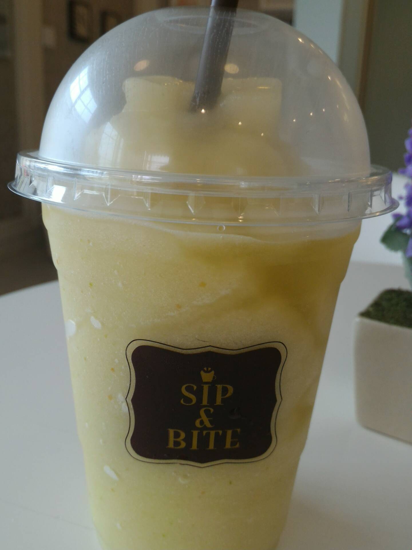 Green Plum ร้าน Sip&Bite ซิปแอนด์ไบท์คอฟฟี่