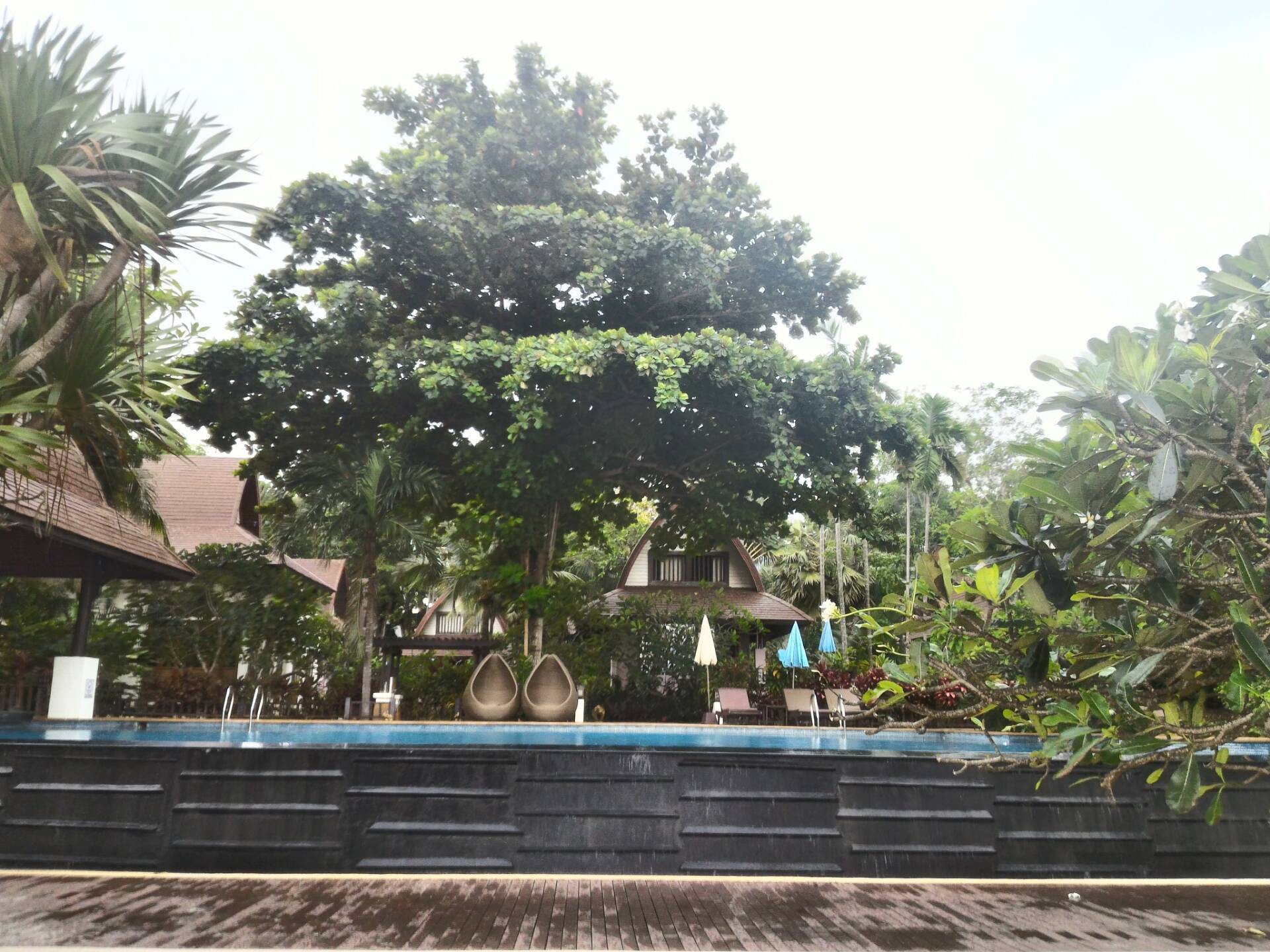 ร้าน Barali Beach Resort Koh Chang | รีวิวร้านอาหาร - Wongnai