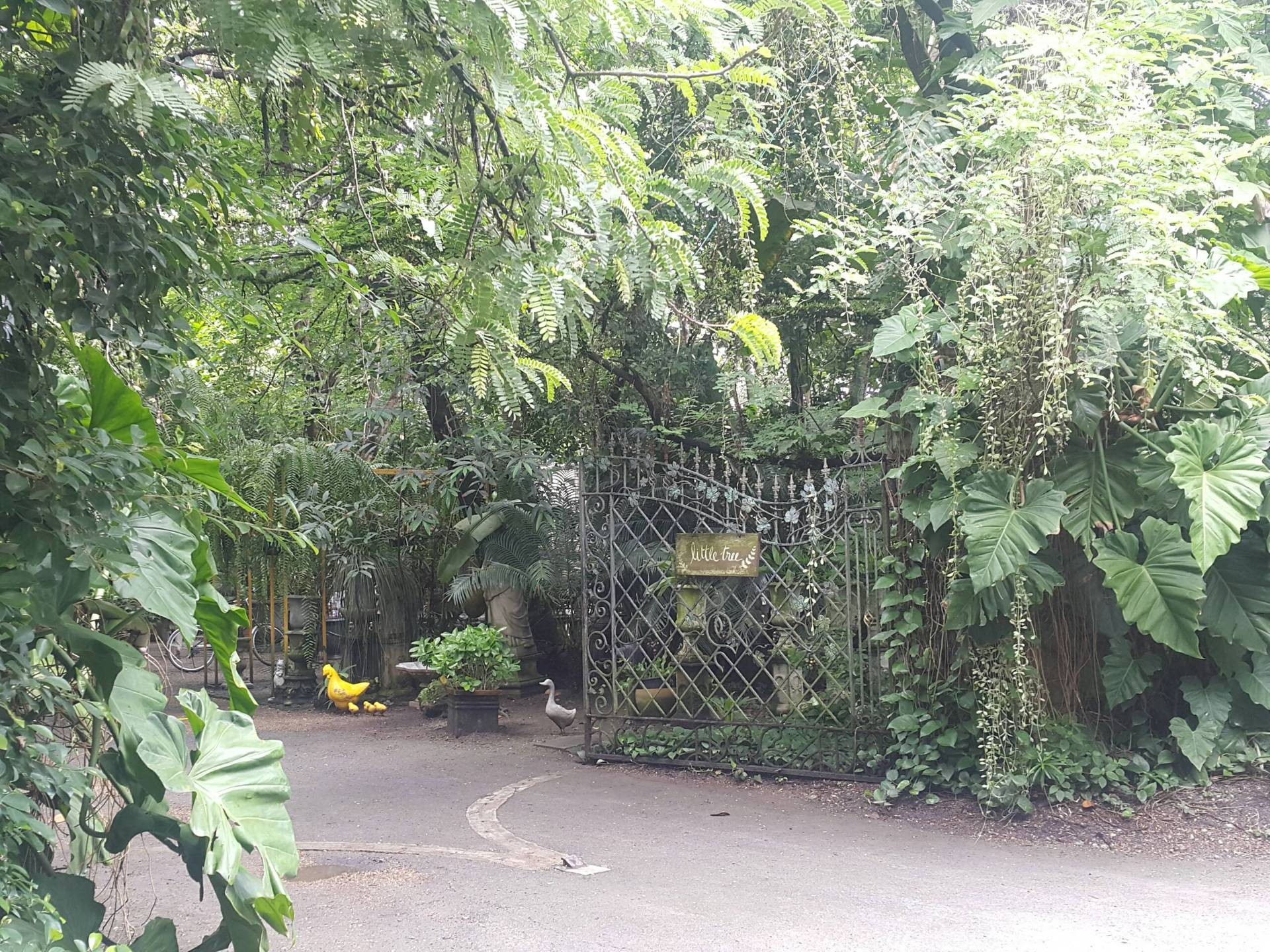 รีวิว Little Tree Garden บ้านใหม่ - ร้านสวยบรรยากาศดี แม้ราคาจะแรงไปนิด ...