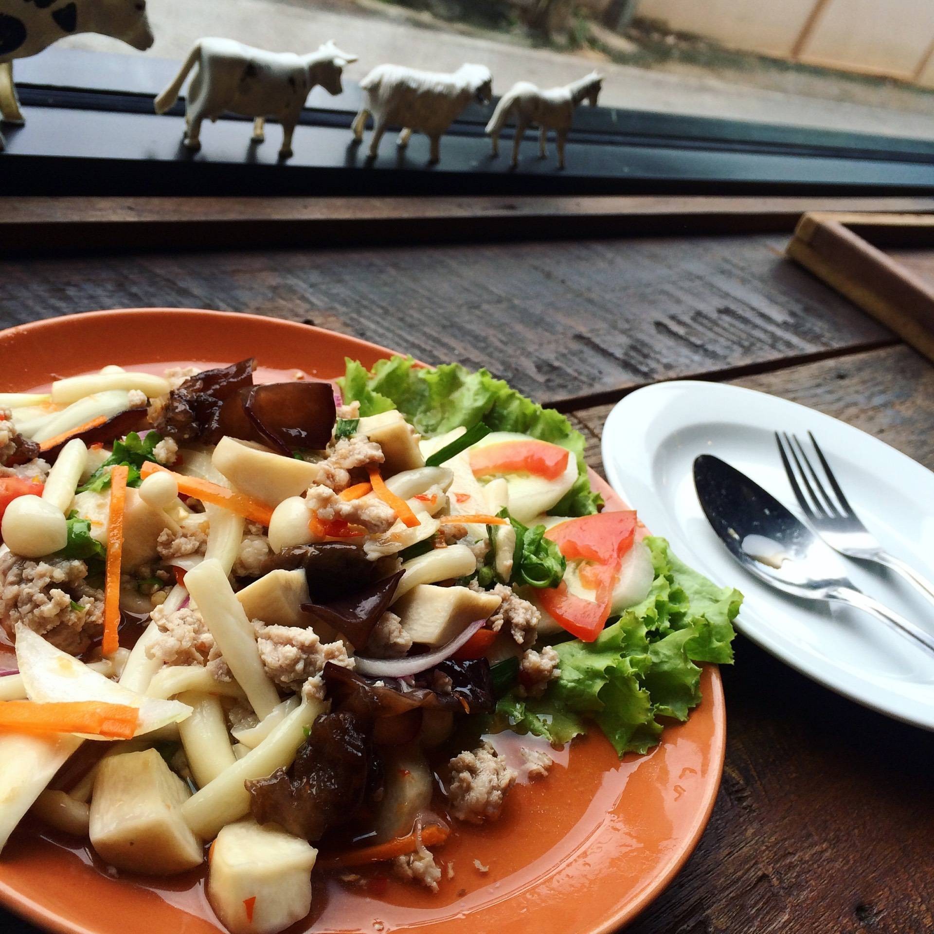 รีวิว Manee Cafe - รสชาติปริญญาในราคามัธยม!! - Wongnai