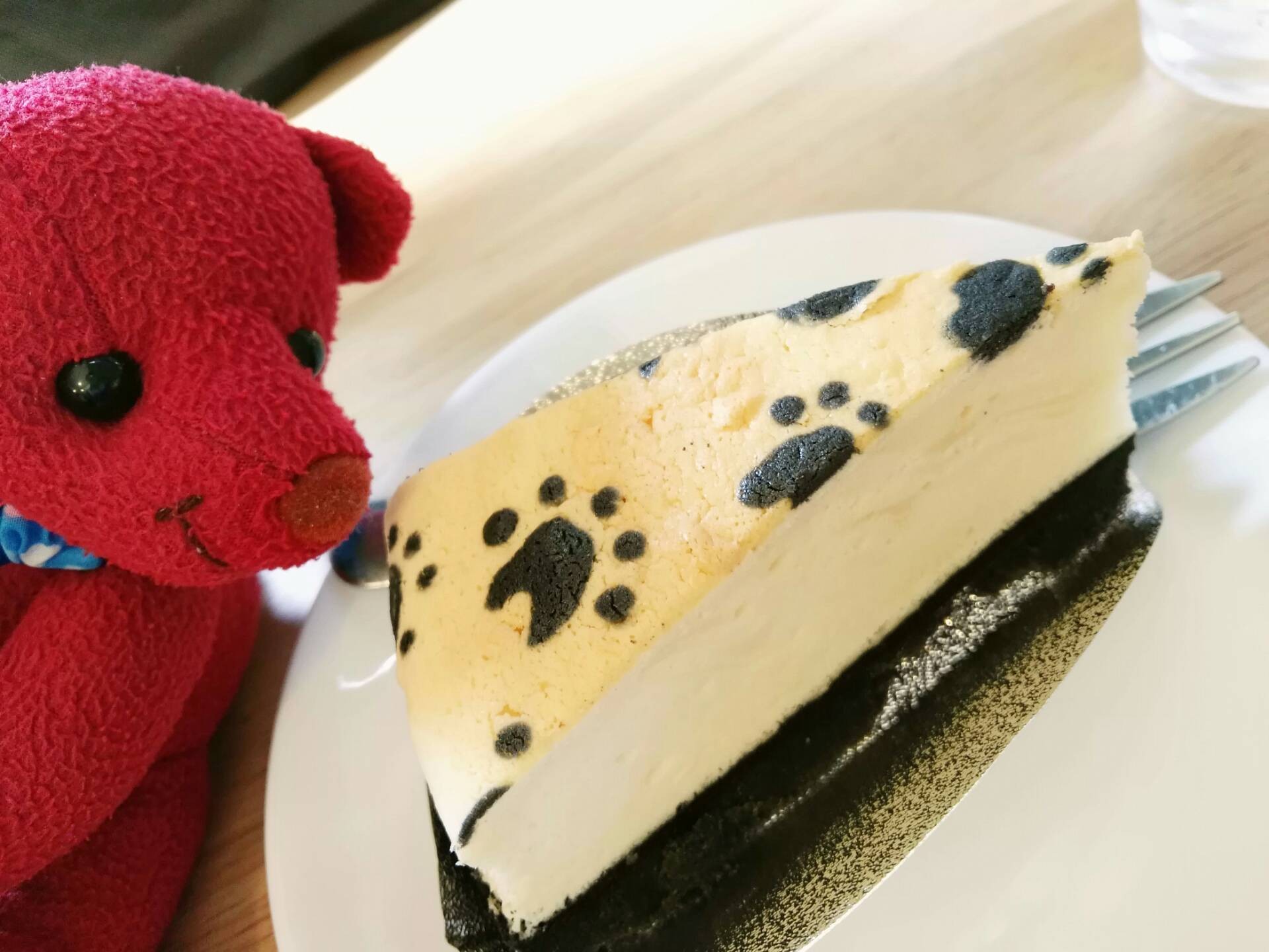 รีวิว Cat human cafe - PQ - พุทธมณฑล สาย 2