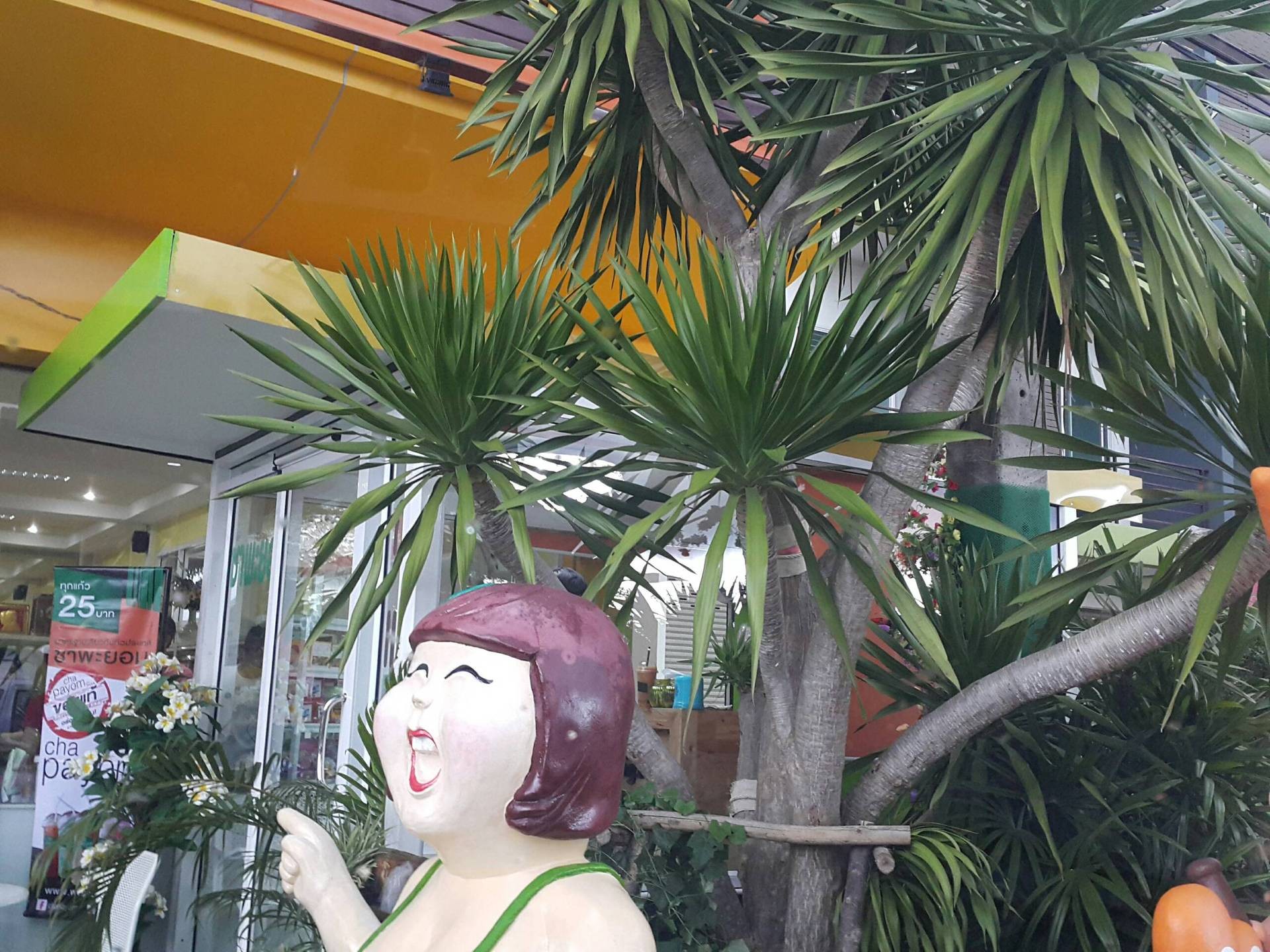 รีวิว ชาพะยอม ศูนย์รวมของฝาก OTOP 5 ดาวแม่จิตร - หวานนมข้นหวานมาก