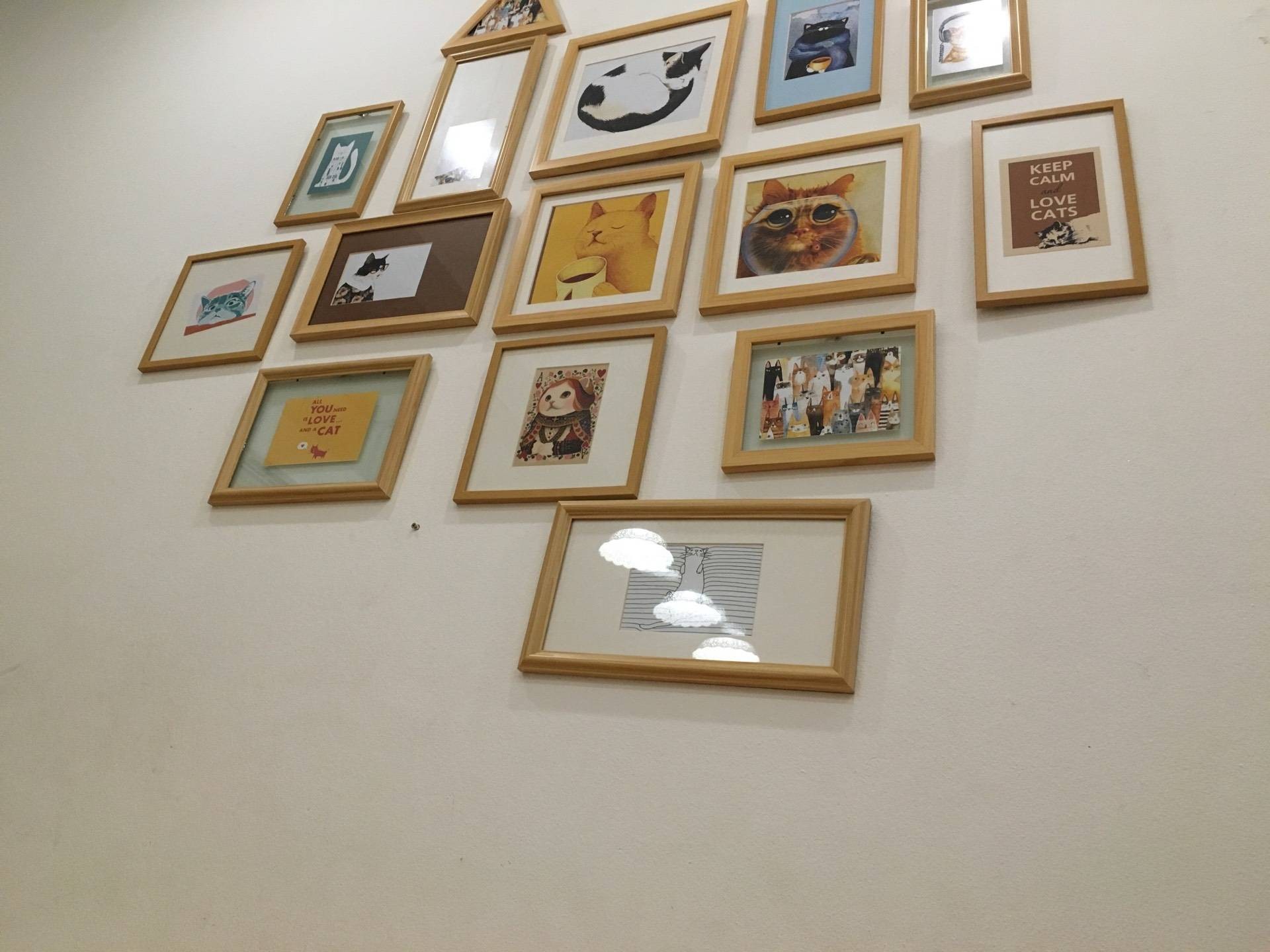 รีวิว Snow Cat Cafe - เจ้าเหมียวไม่เล่นด้วย
