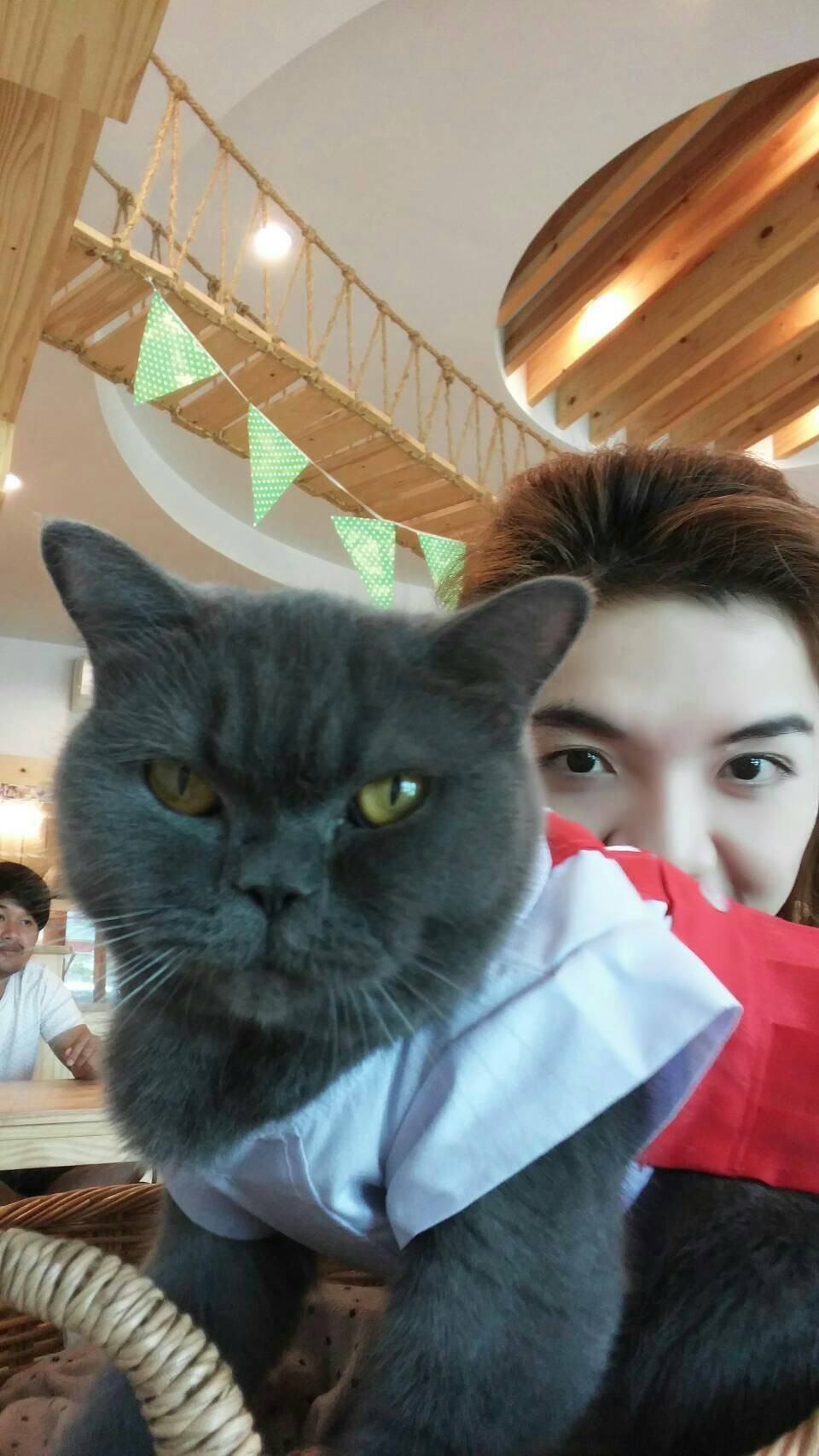 รีวิว Catfeine House&Cafe - มาเล่นแมวกันเถอะ