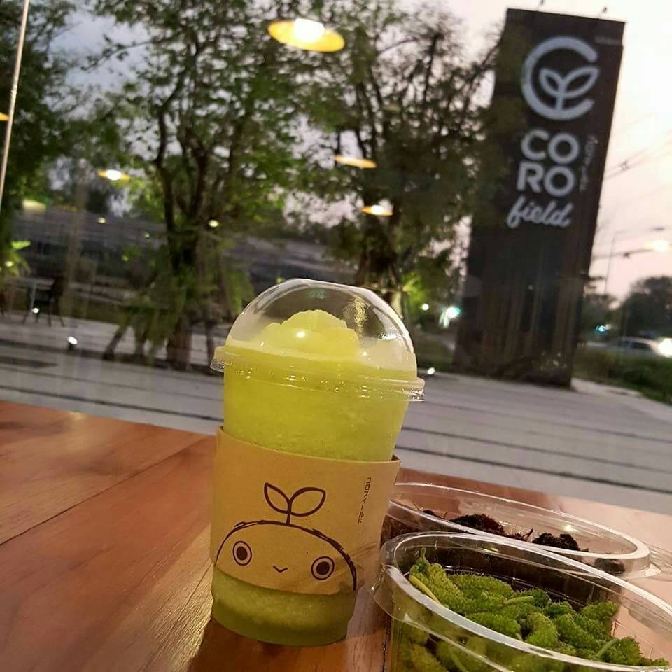 รีวิว CORO FIELD - Coro Field - Organic Lifestyle Japanese Farm ณ สวน ...